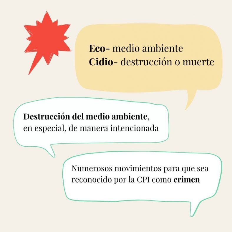 ¿Qué es Ecocidio? - Market Sostenibles